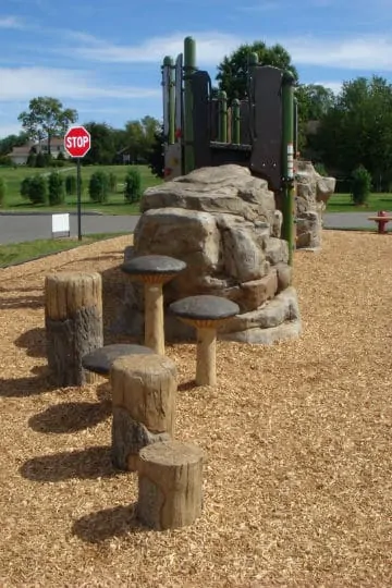 Bear Creek Intermediate School Builds Playground | General Recreation